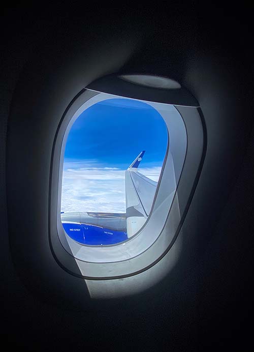 Avian Experiences: Tours, Activities & Attractions