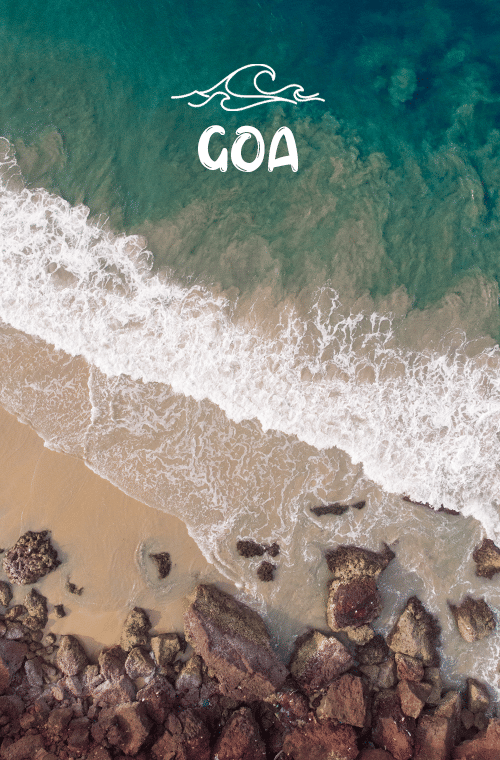 Avian Experiences: Tours, Activities & Attractions