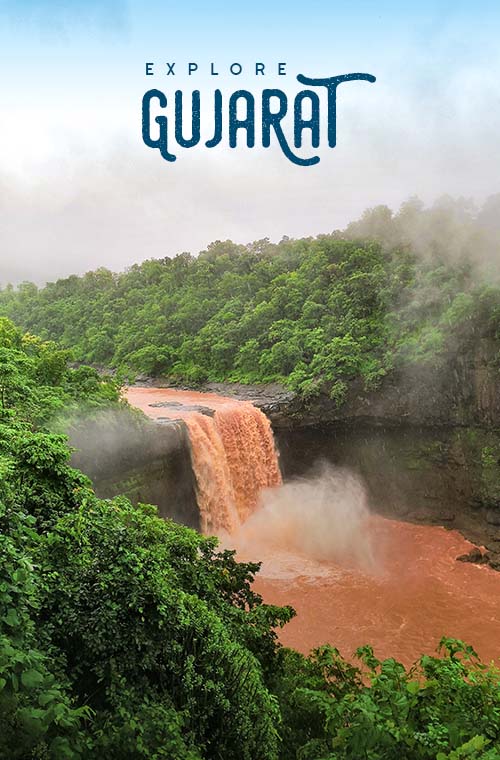 Avian Experiences: Tours, Activities & Attractions